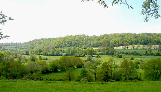 Tales from a Normandy Smallholding : The Good Life France